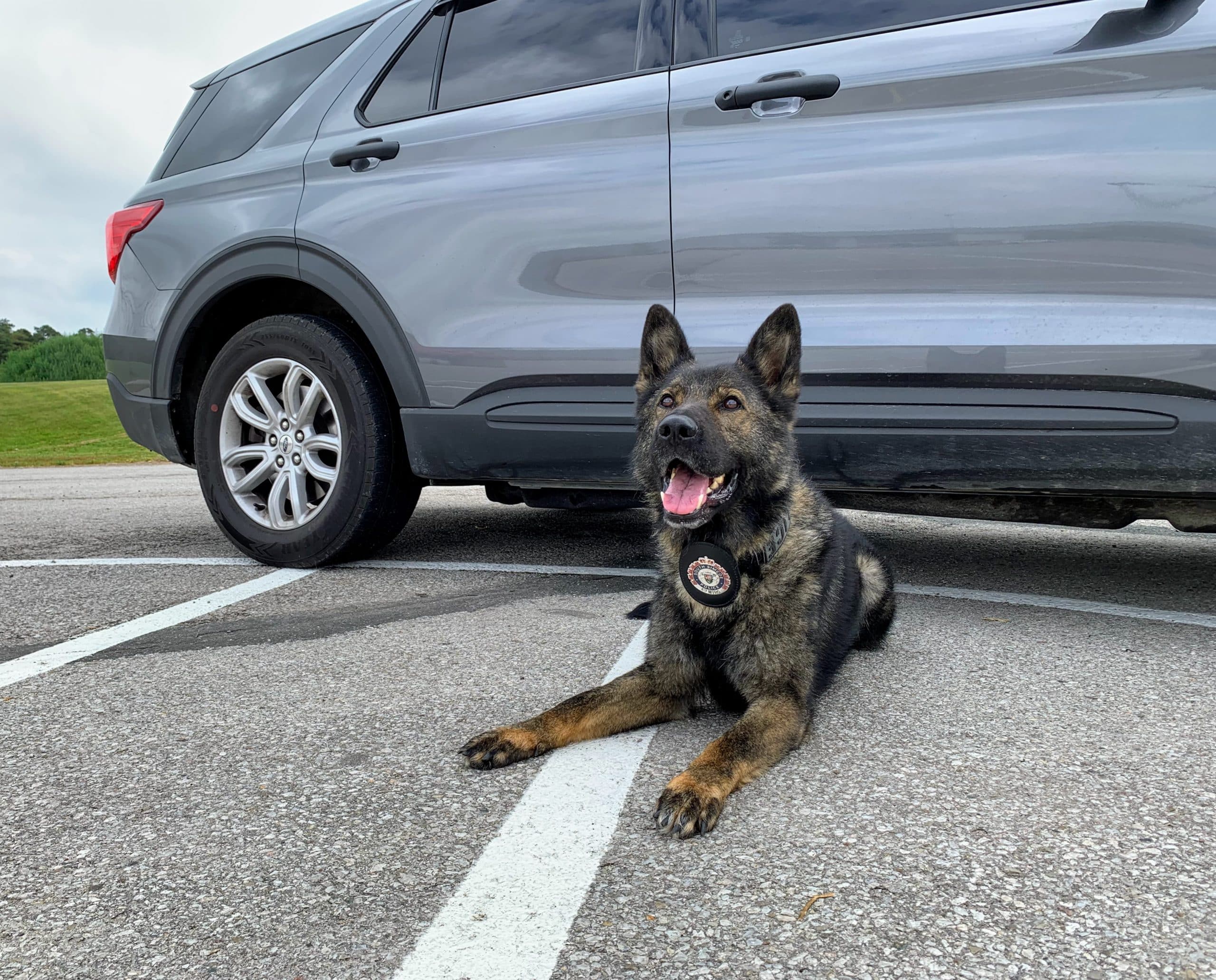 South Simcoe Police Service