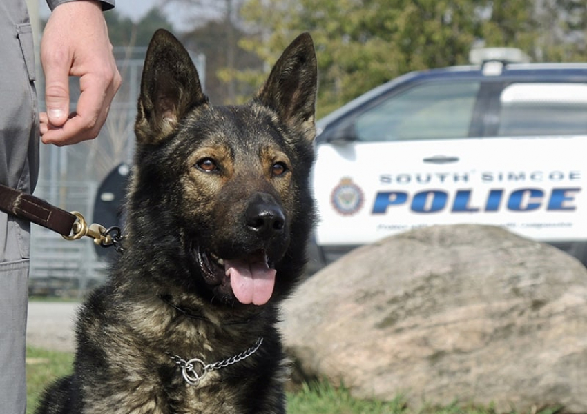 Photo Gallery – South Simcoe Police Service